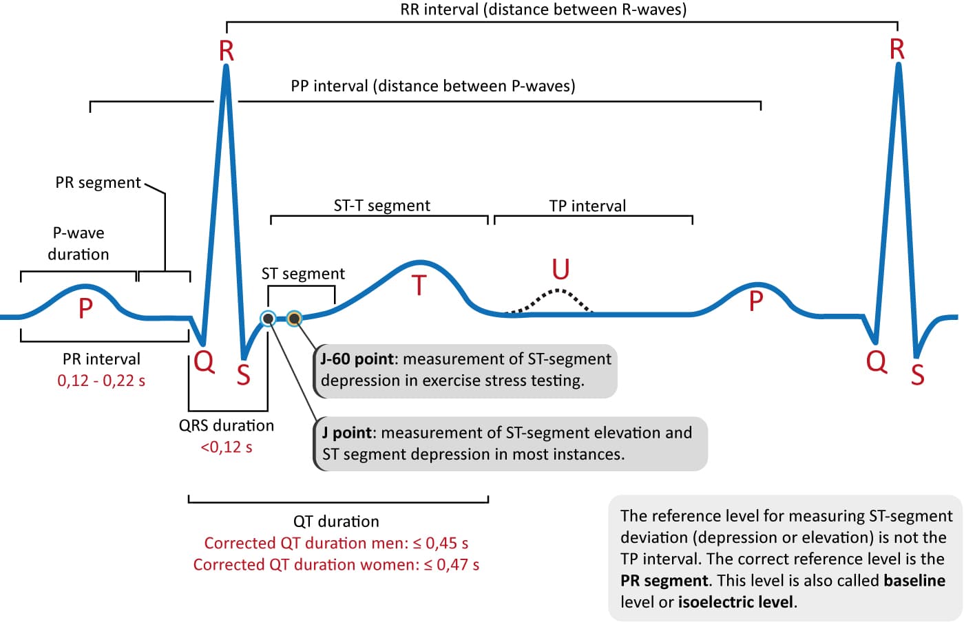 Oversigt over EKG-bølger, afbøjninger, intervaller og varigheder